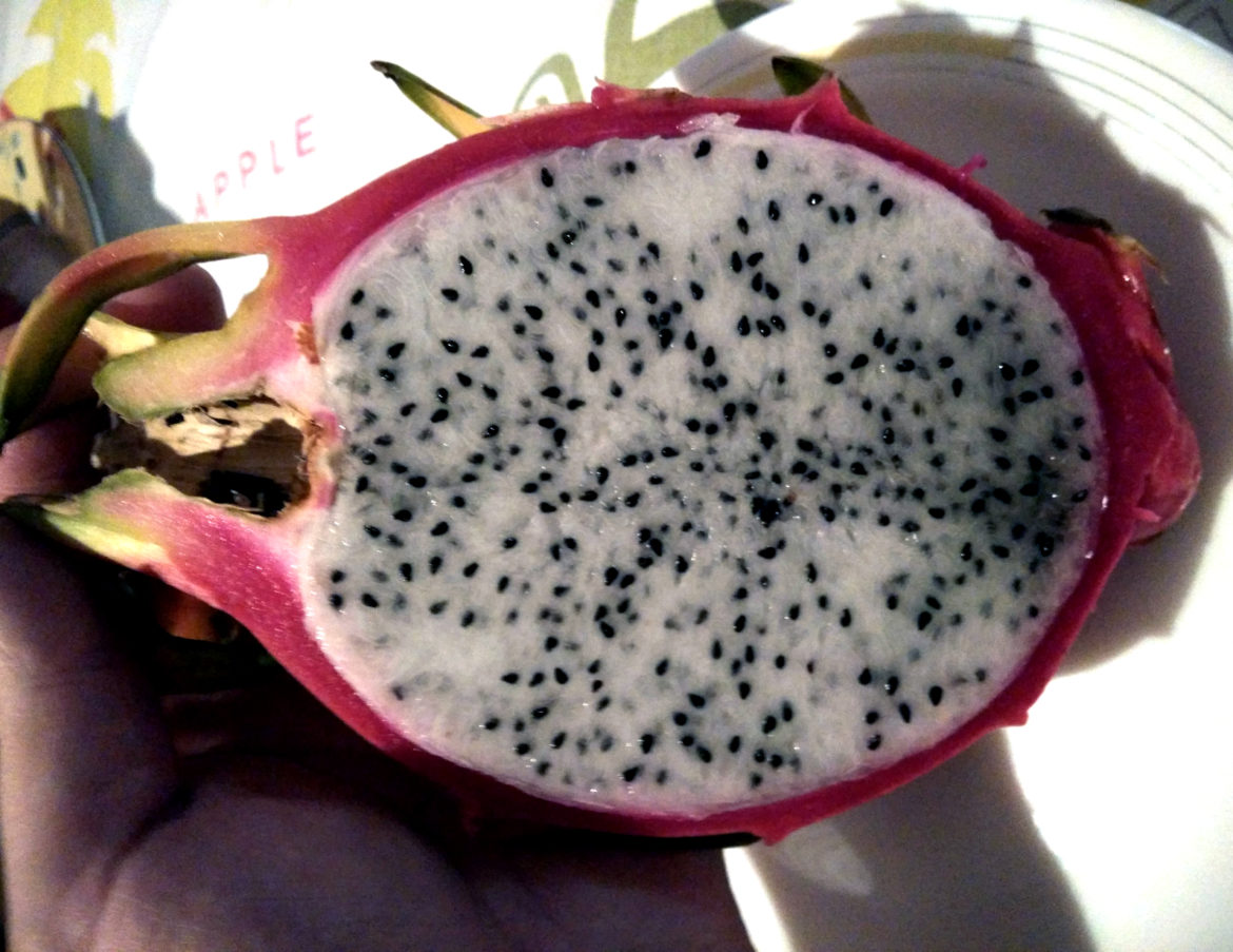 Pitahaya, corazón de dragón: una curiosa planta mitológica. - Laderas ...